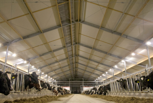 5:Patented LED Dairy Cow Barn Light increase 20% milk and reduce 75% ...